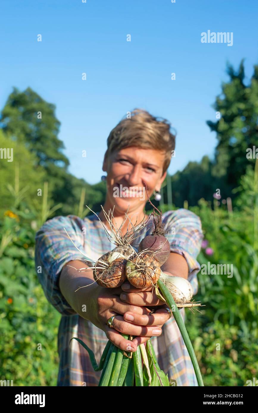 Farm worker holding fresh onions at vegetable garden Stock Photo - Alamy