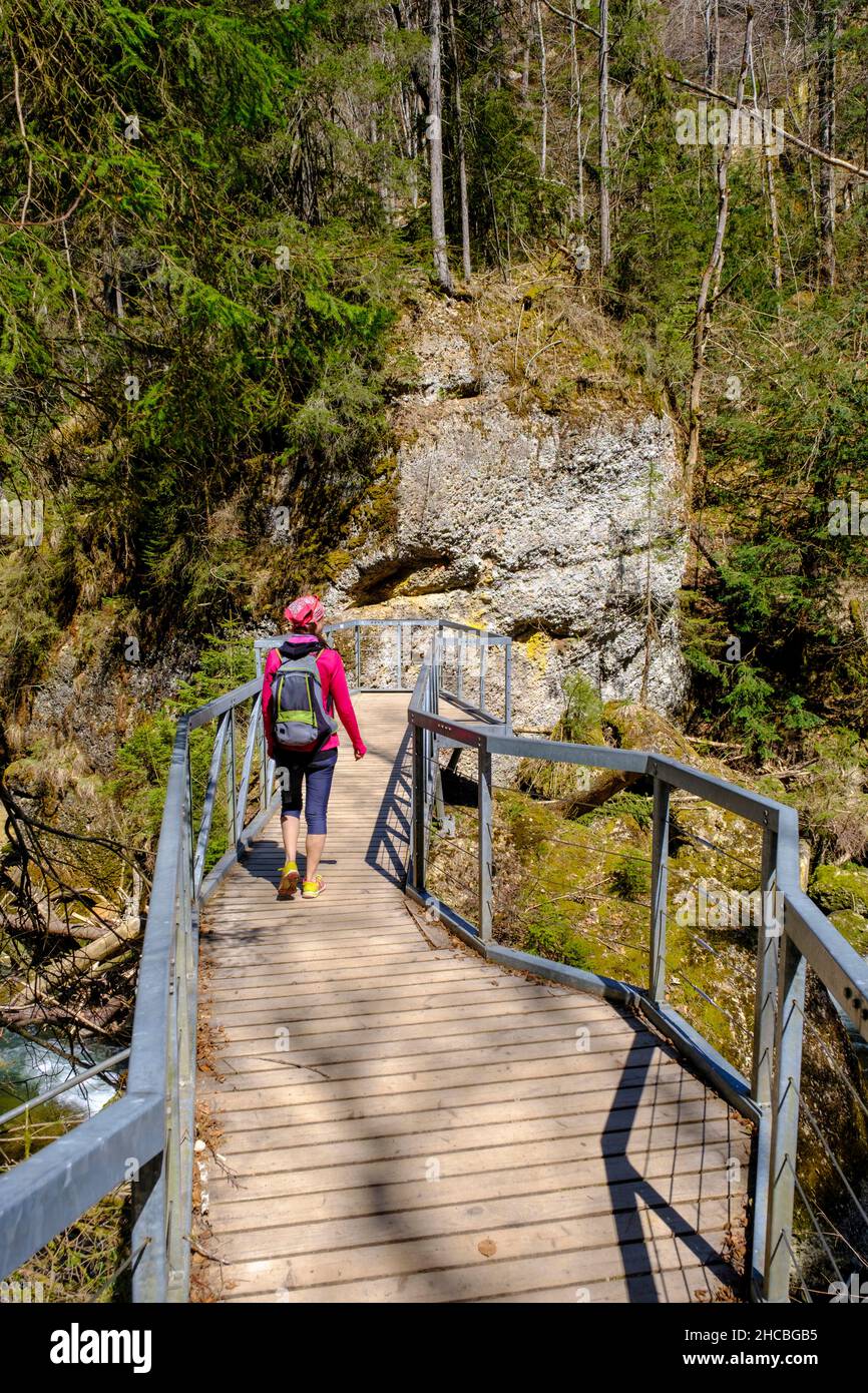 Tourist hiking on viewpoint platform Stock Photo - Alamy