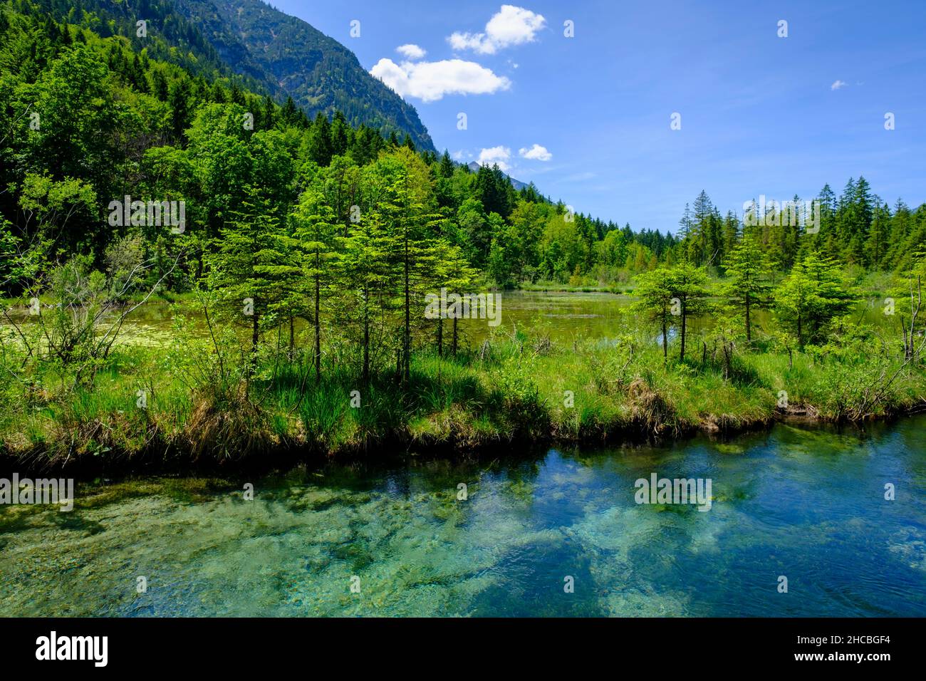 Amper river in summer with forested mountain in background Stock Photo ...