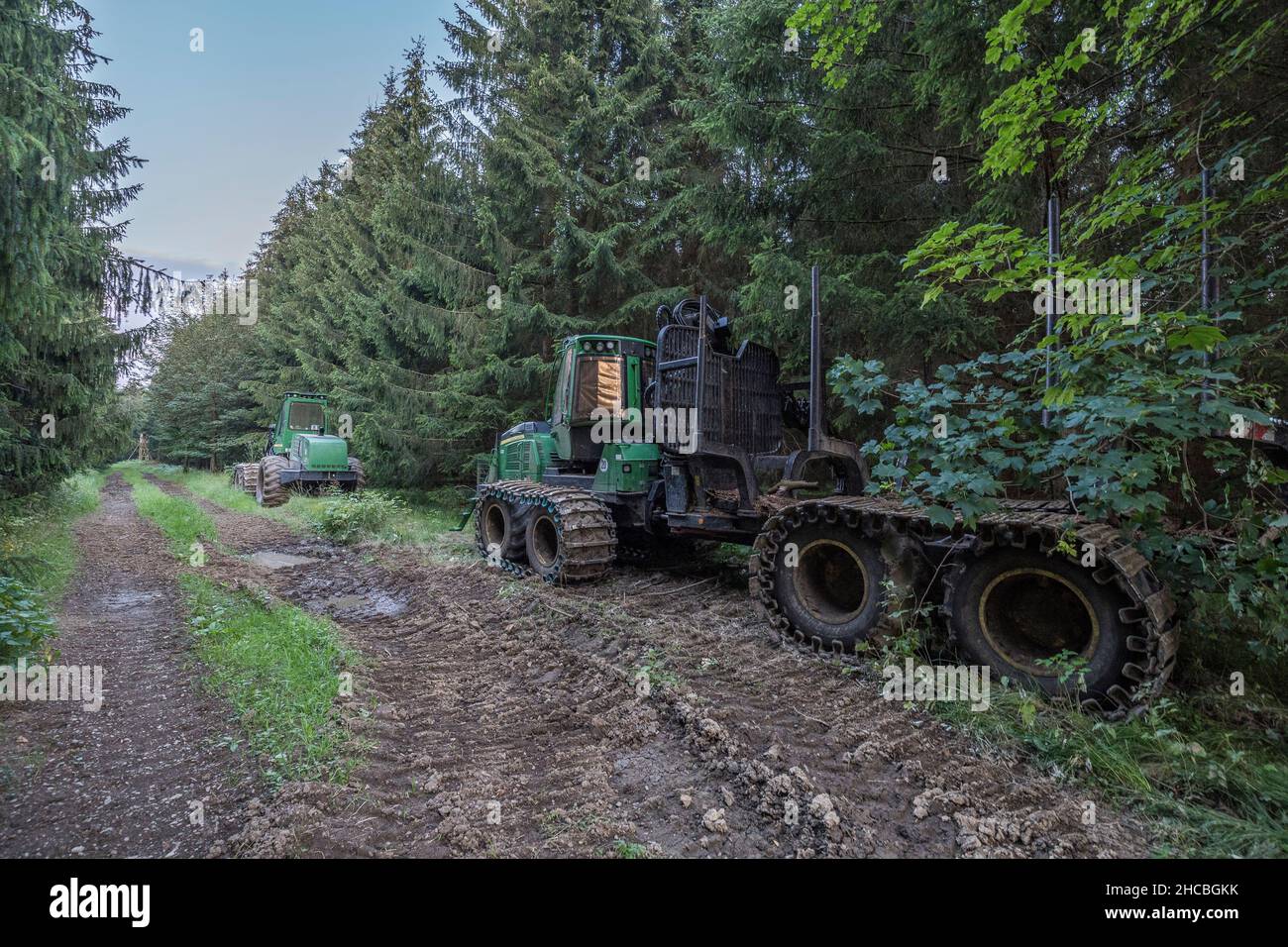 Forestry forwarder hi-res stock photography and images - Alamy