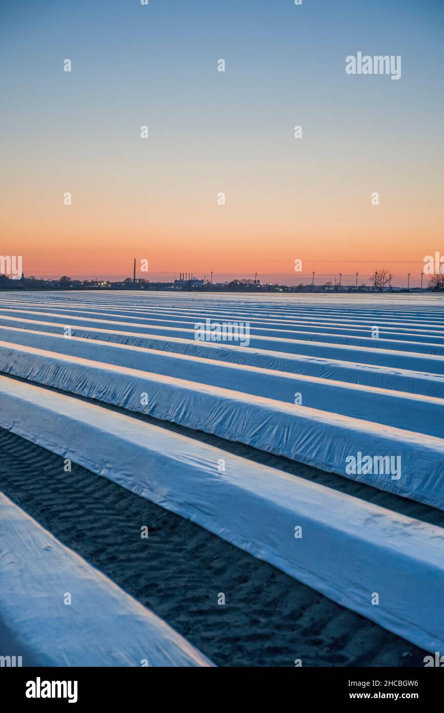 Field covers hi-res stock photography and images - Alamy