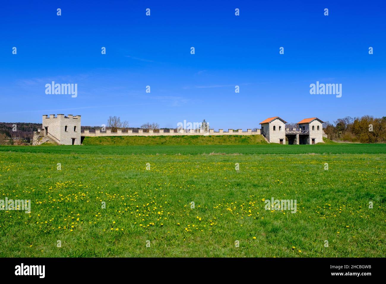 Germany, Bavaria, Walting, Summer meadow in front of Pfunz Roman Fort ...