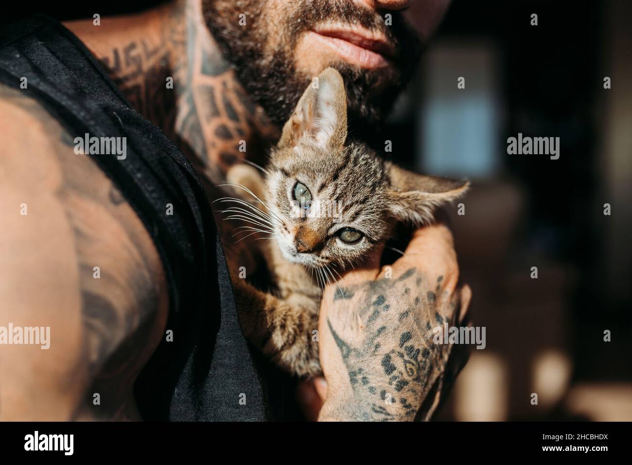 Man embracing pet on hi-res stock photography and images - Alamy