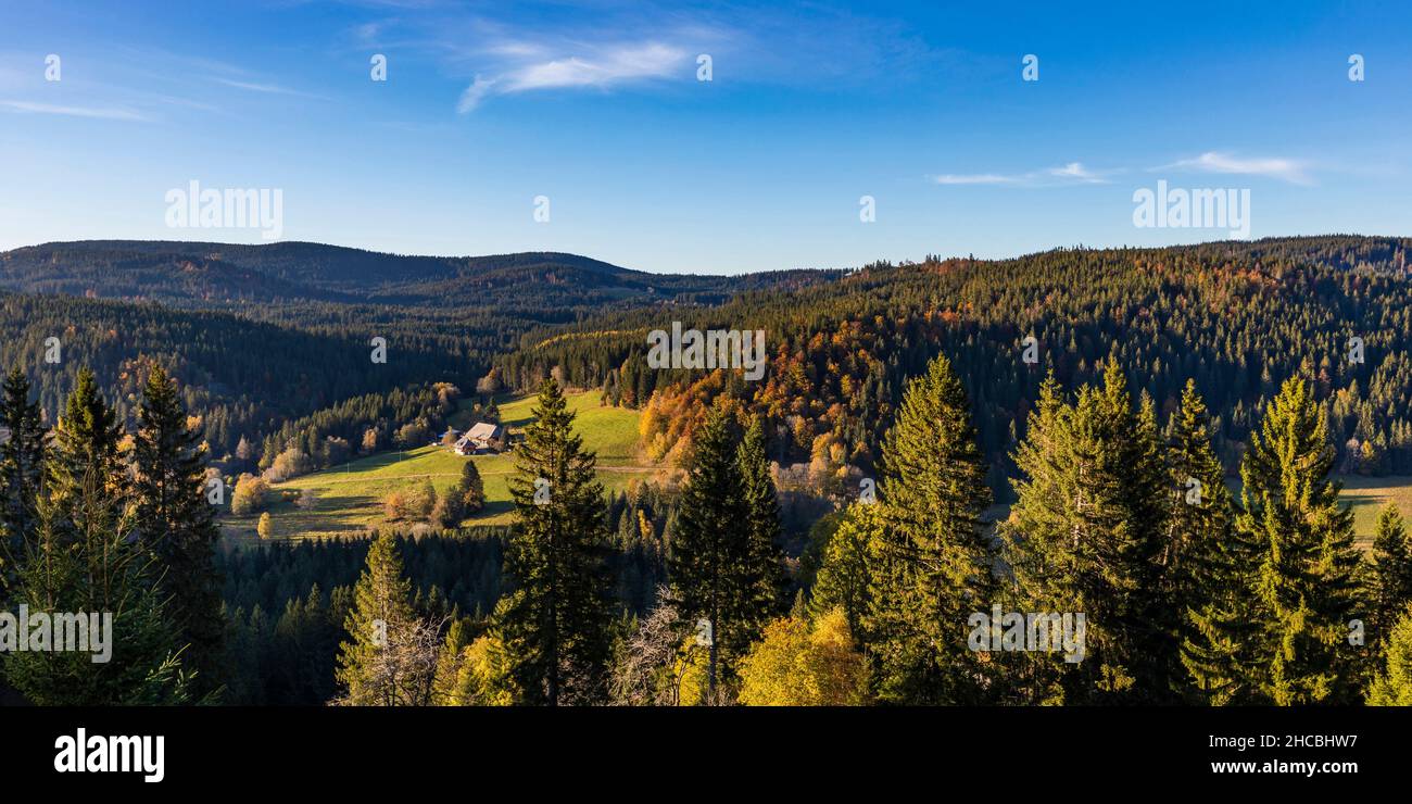 Lone farmhouse in Black Forest range during autumn Stock Photo - Alamy