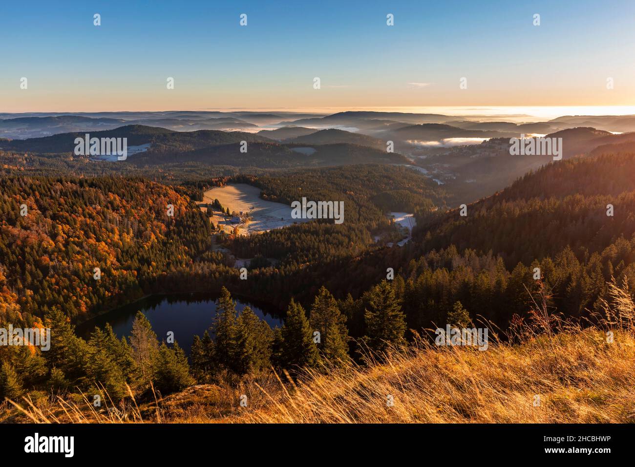 Feldsee lake seen from Feldberg mountain at dawn Stock Photo - Alamy