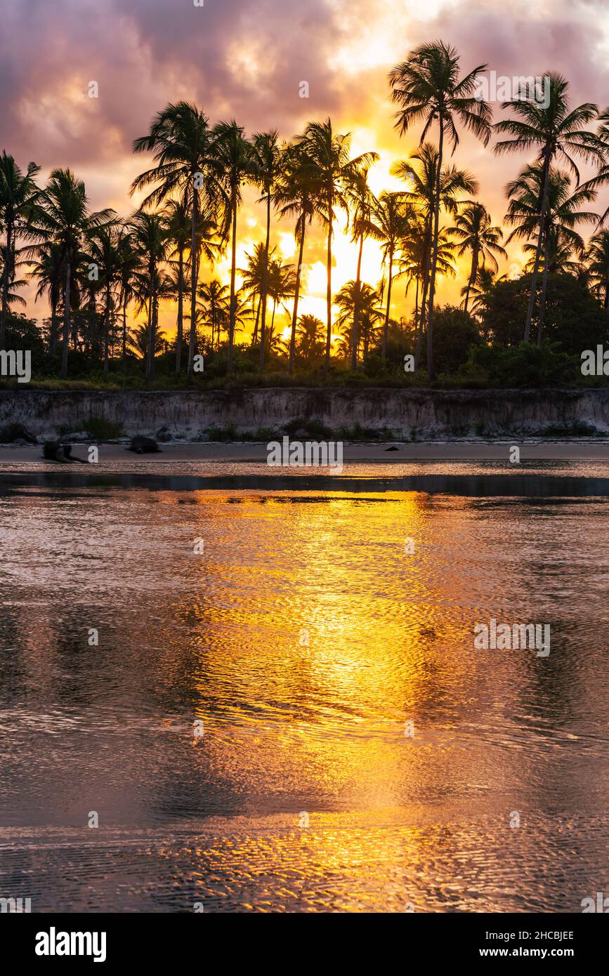 Sunset behind palm trees in brazilian beach Stock Photo - Alamy