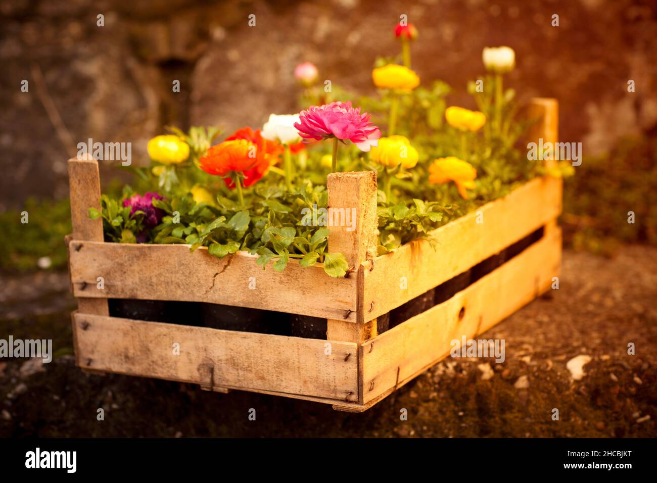 Flowers crate hi-res stock photography and images - Alamy