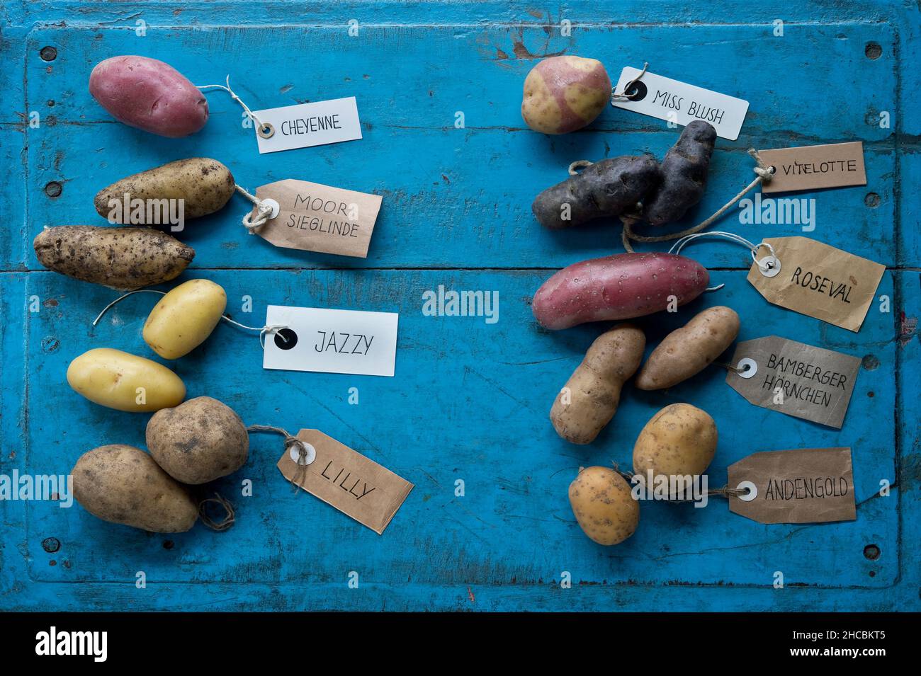 Types Of Potatoes Chart