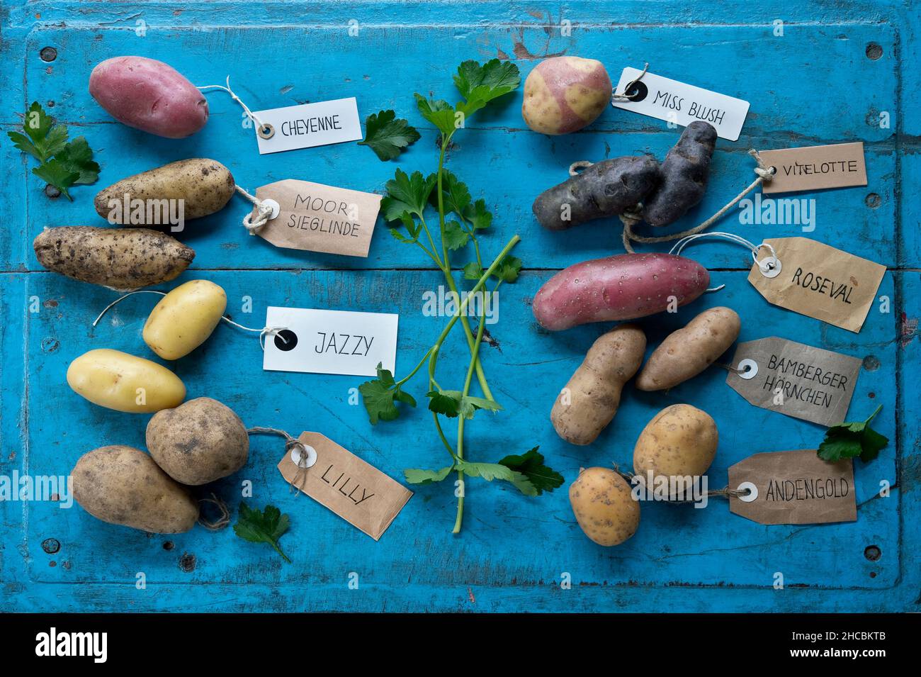 Jazz Varieties Of Potatoes