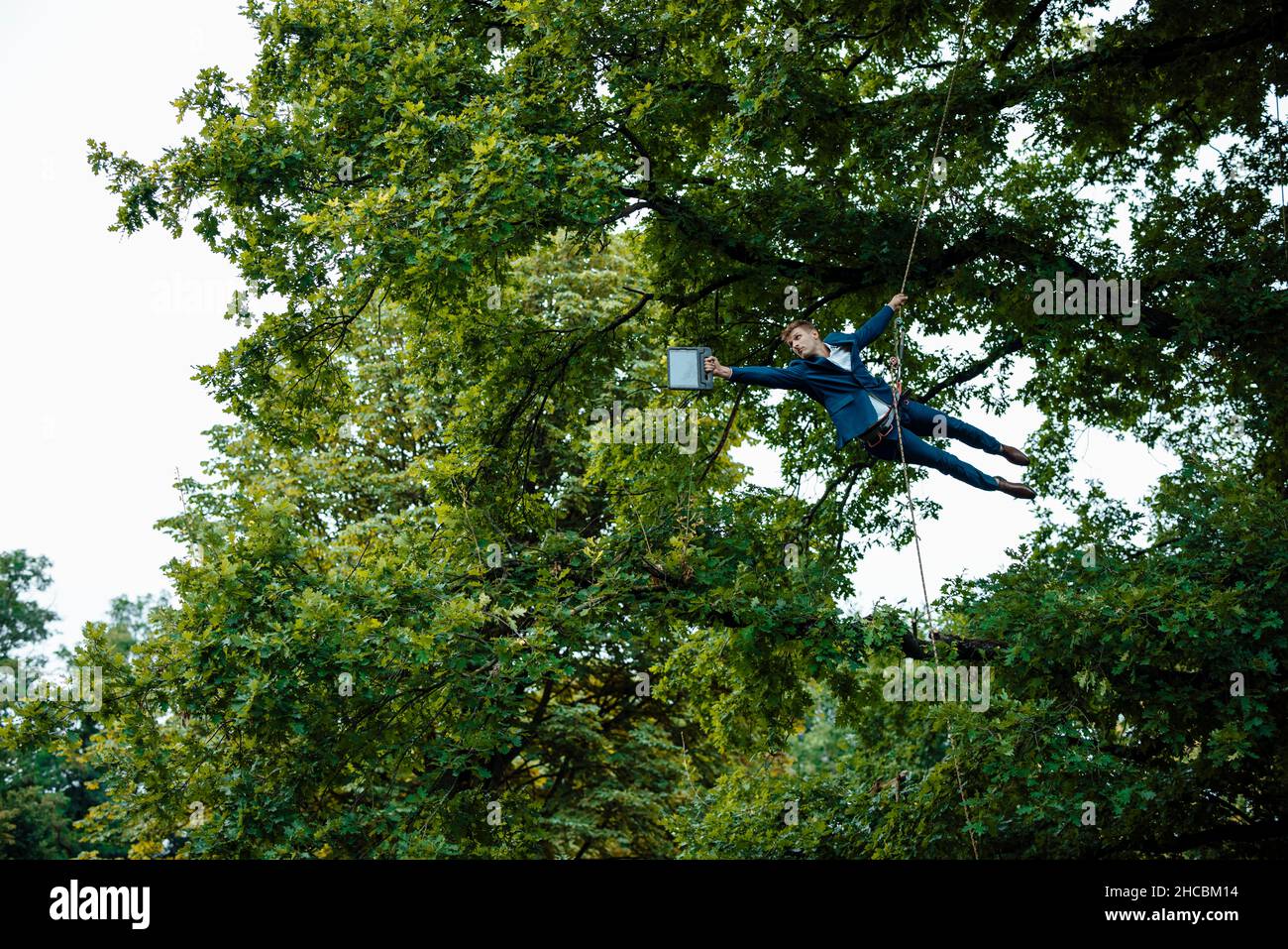 Crossed oak hi-res stock photography and images - Alamy