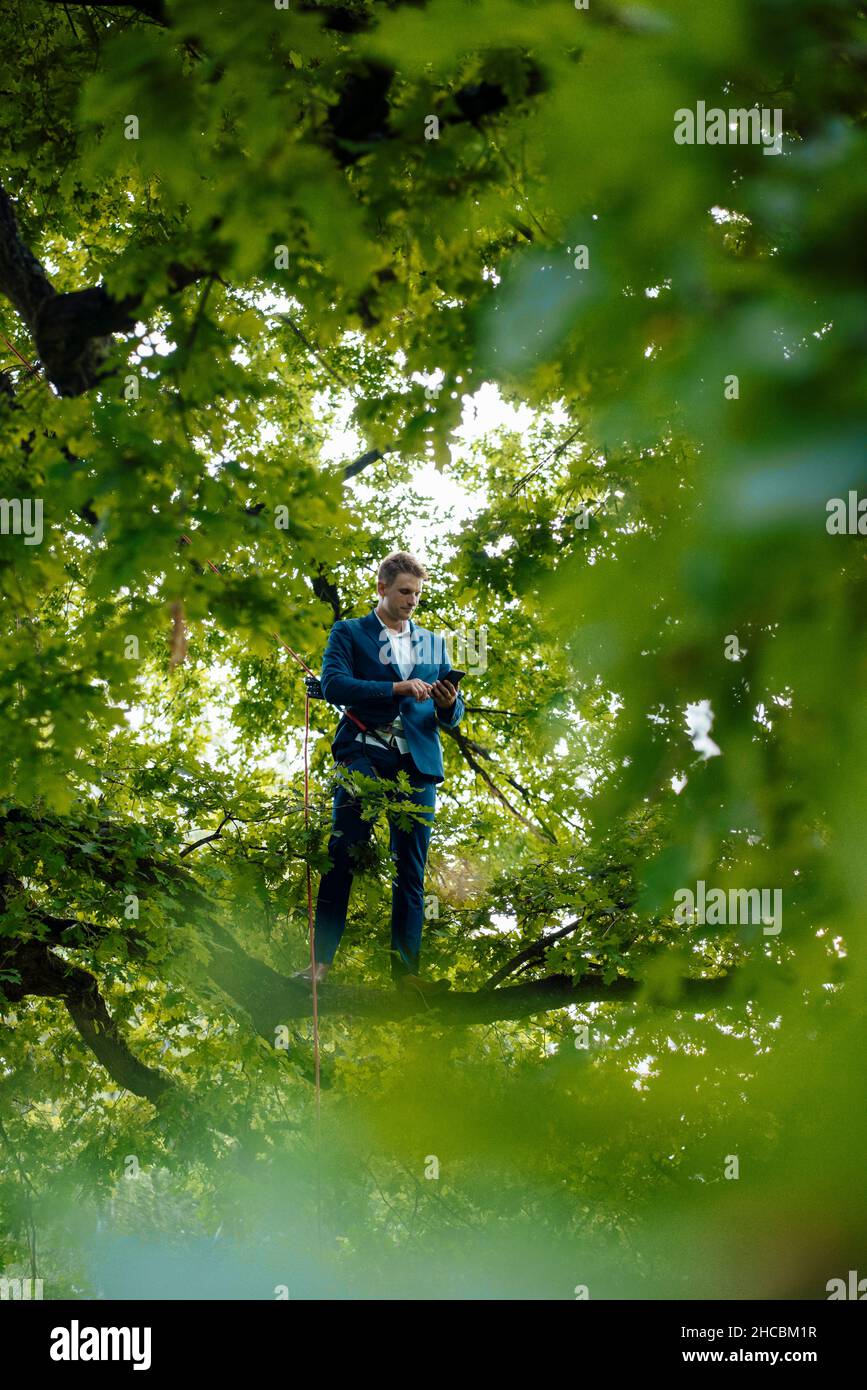 Branch climbing green hi-res stock photography and images - Alamy