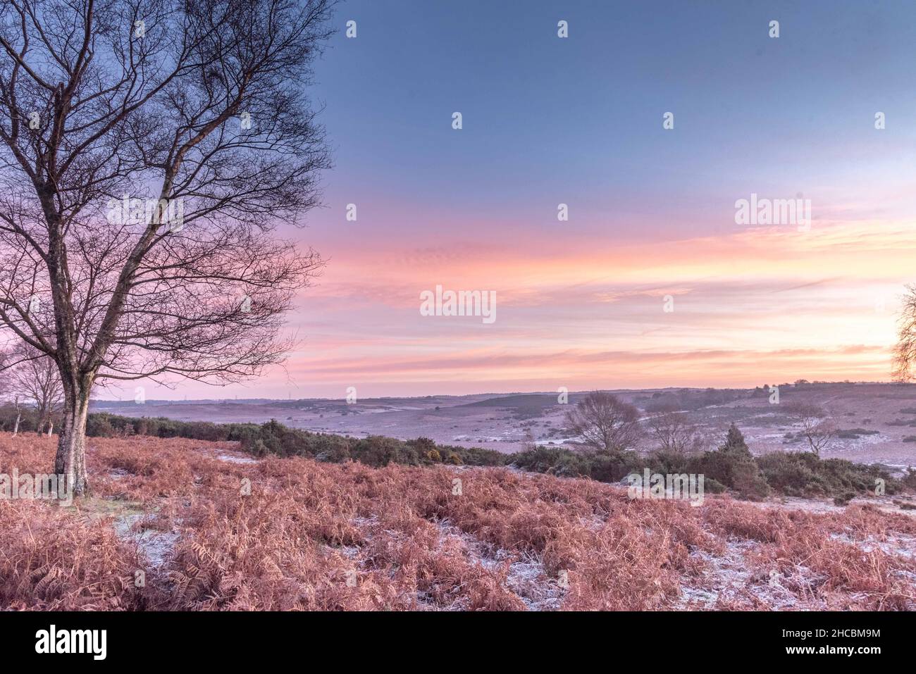December dawn hi-res stock photography and images - Alamy