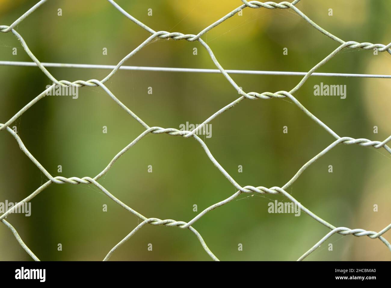 Metal wire mesh fence hi-res stock photography and images - Alamy