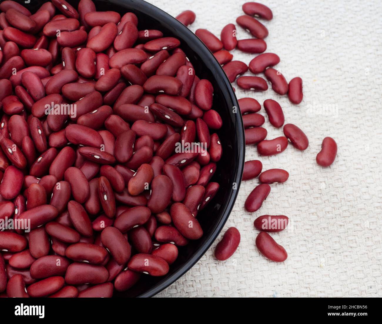 Kidney word hi-res stock photography and images - Alamy