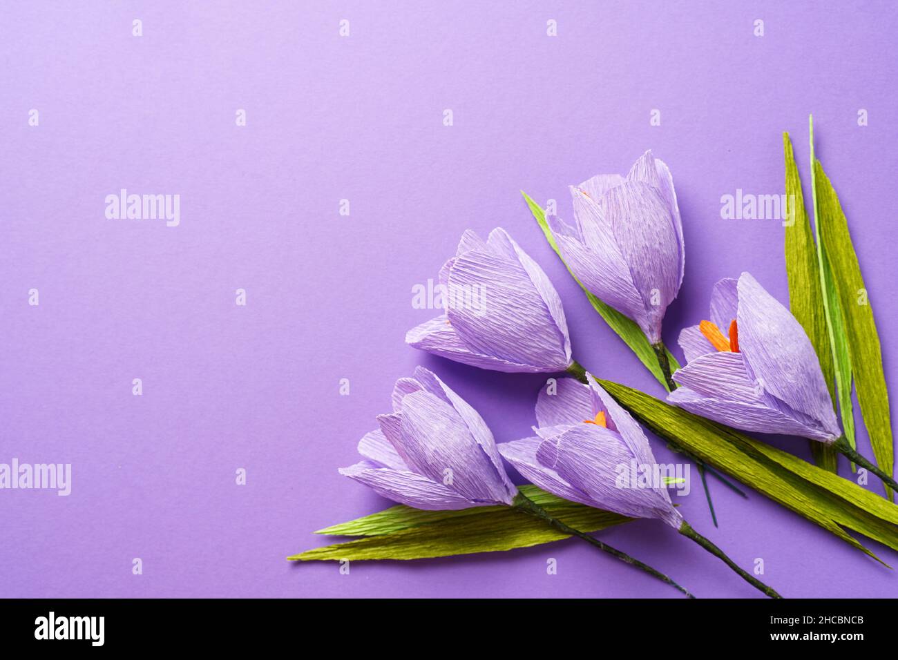 DIY paper crocuses on violet background Stock Photo - Alamy