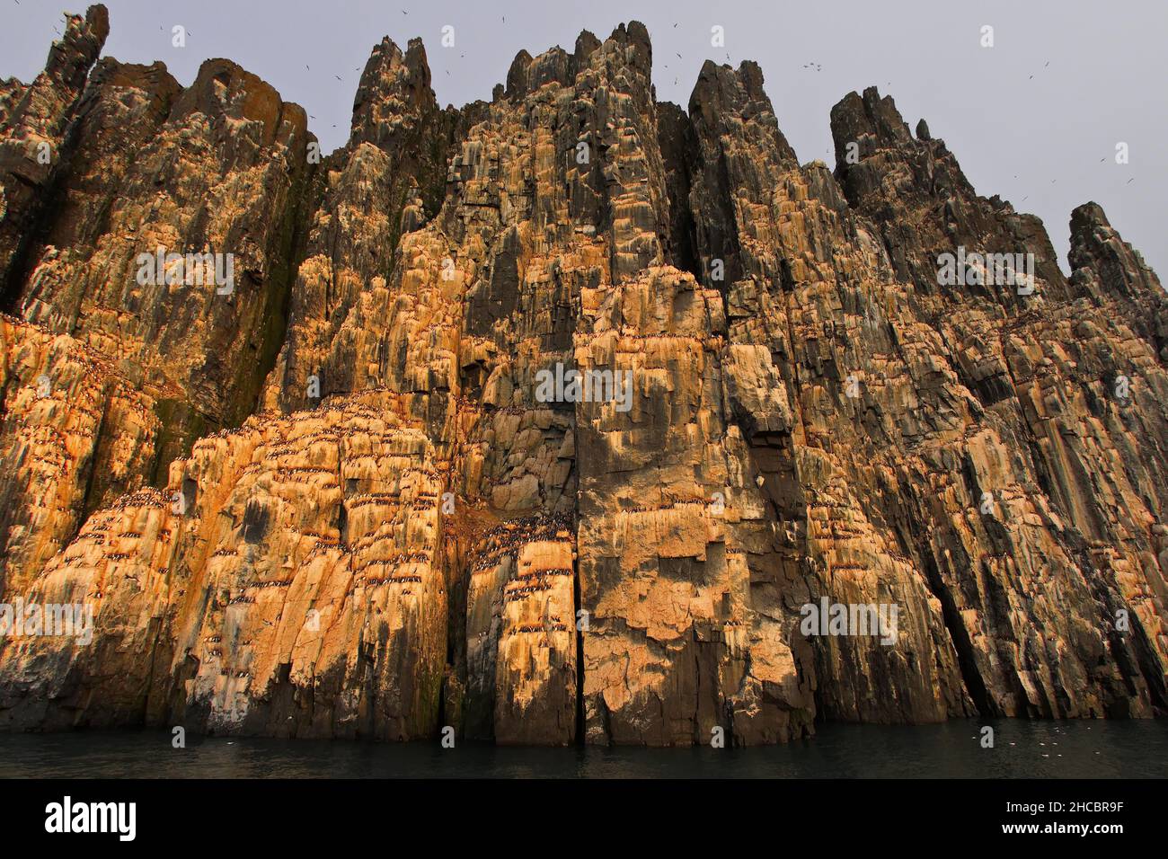Scenic view of the high rocky cliffs near the ocean in Svalbard Stock ...