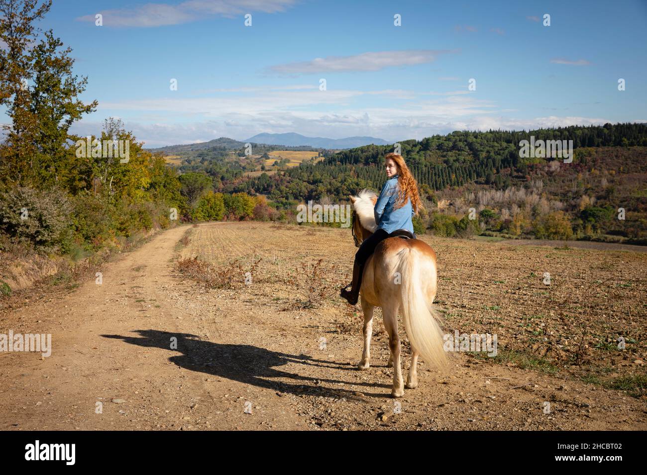 Young woman horseback riding at ranch on sunny day Stock Photo - Alamy