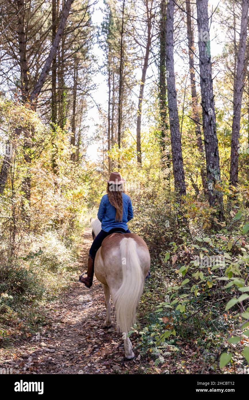 Women riding horse in the forest hi-res stock photography and images ...
