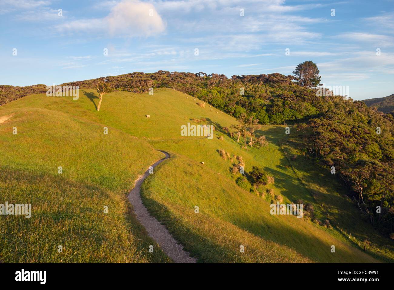 Footpath stretching across green grassy hill Stock Photo - Alamy