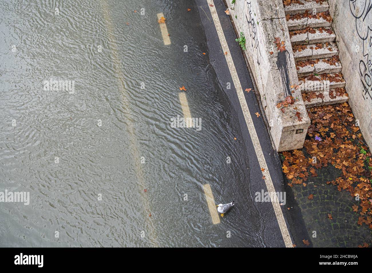 ROME, ITALY. 27 December 2021. A cycle lane is flooded as water levels ...
