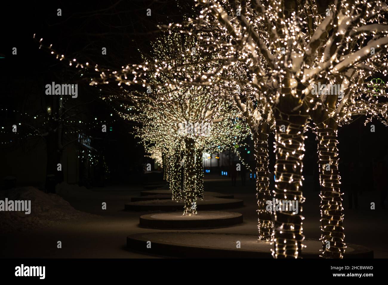 Winter night park with lanterns, pavement and trees covered with lights ...