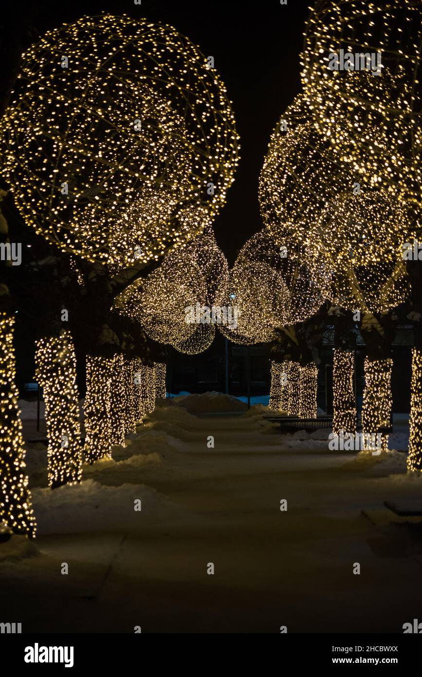 Winter night park with lanterns, pavement and trees covered with lights ...