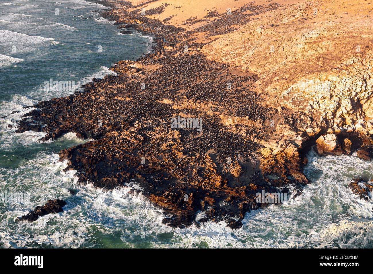 Nambia beach hi-res stock photography and images - Alamy