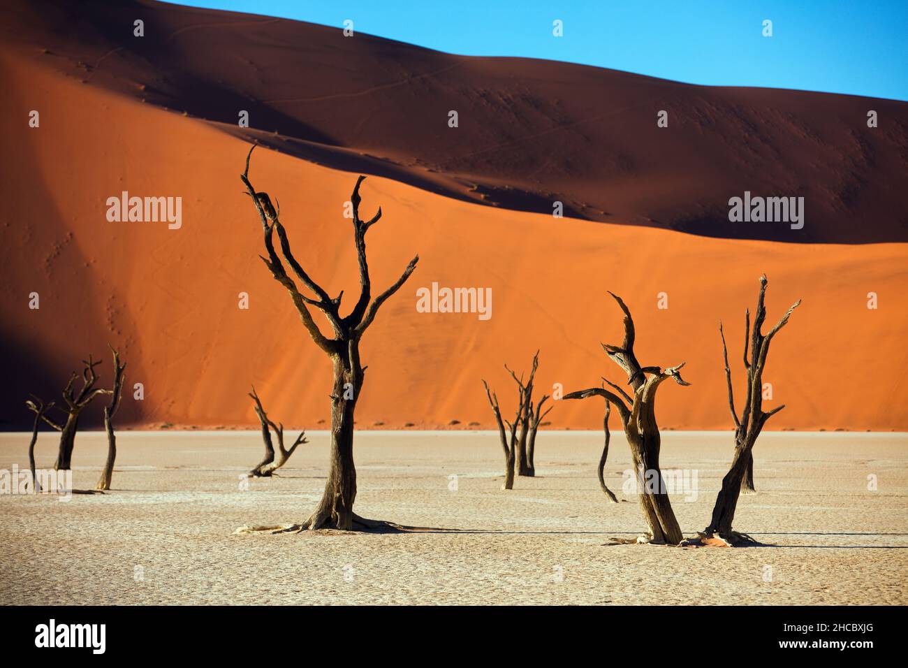 The desert in nambia hi-res stock photography and images - Alamy