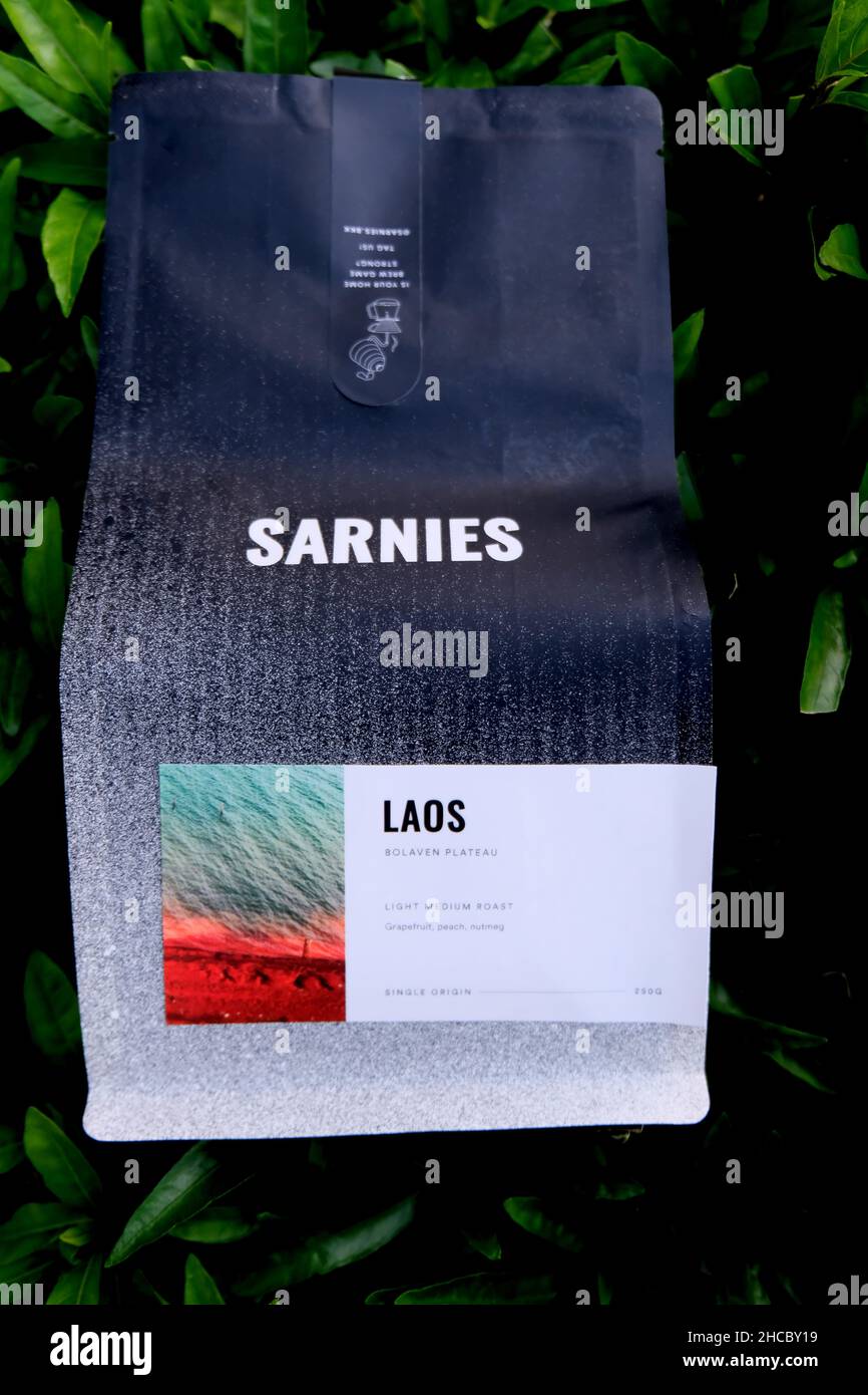 Roasted Laos coffee beans from the Bolaven Plateau, Southern Laos Stock ...