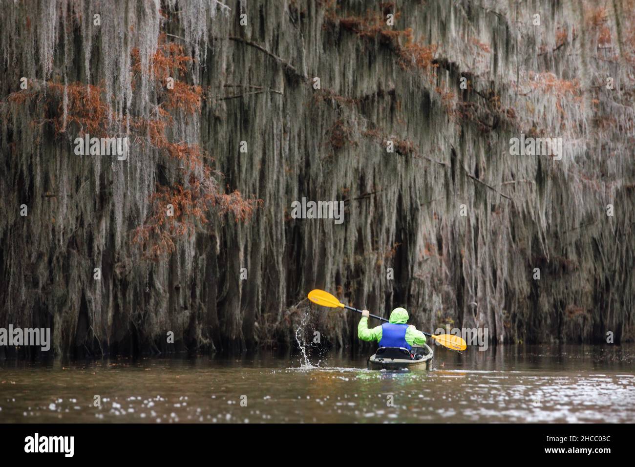 Young man kayaking in Cypress Swamps Stock Photo - Alamy