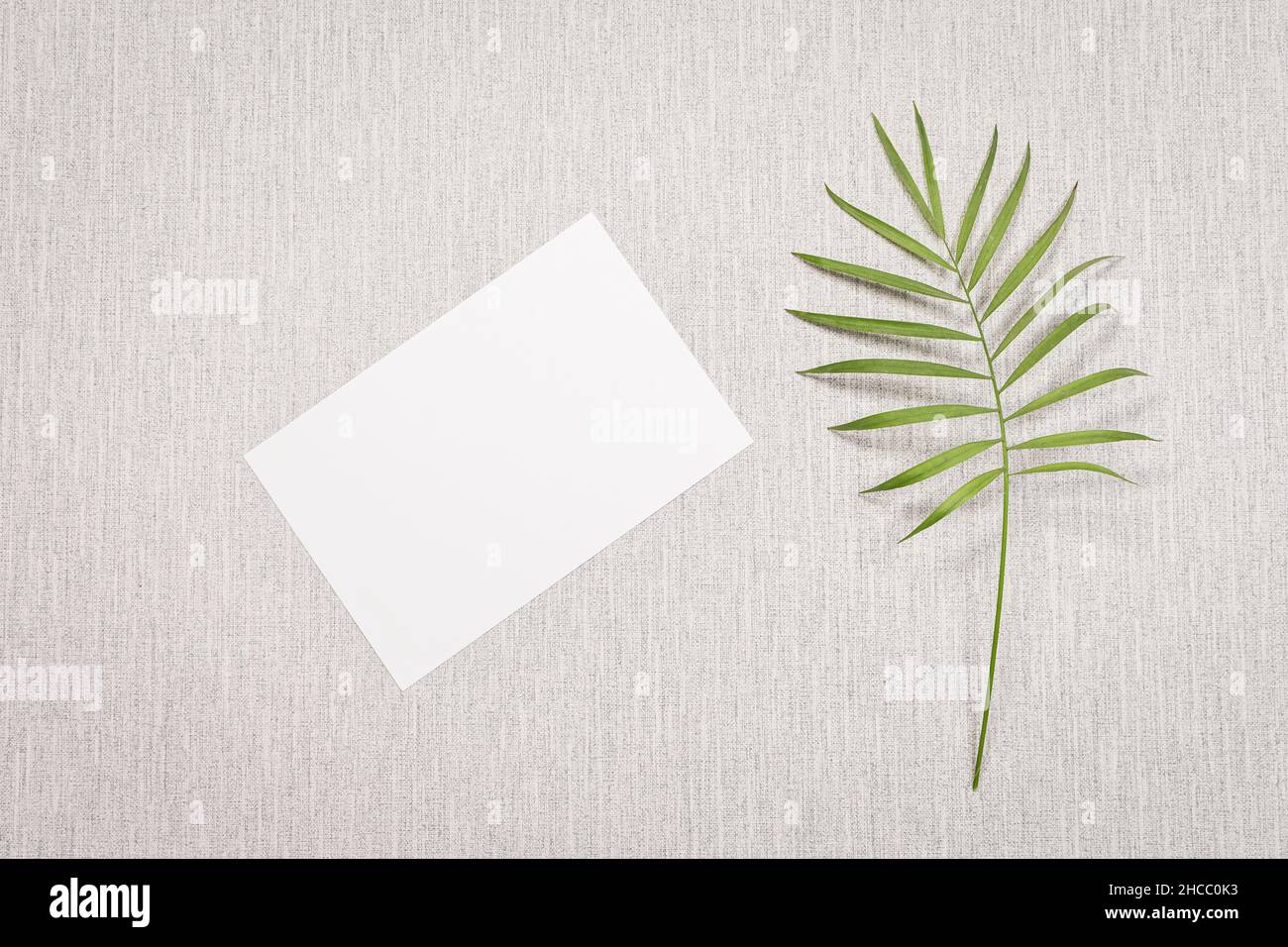 Blank card to write a message, invitation, greetings Stock Photo - Alamy