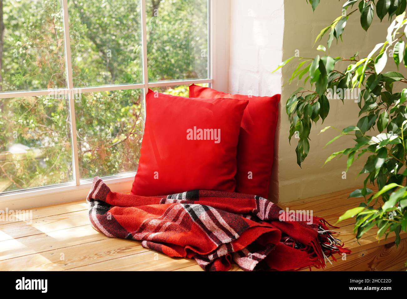 Interior of modern room wit cozy window sill, red pillows and green ...