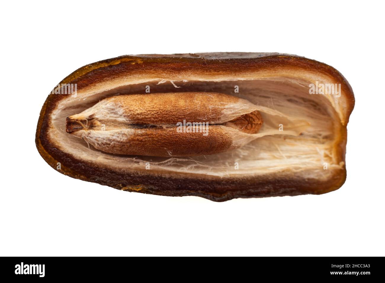 A cut date with a stone close-up on a white background. Date isolate ...