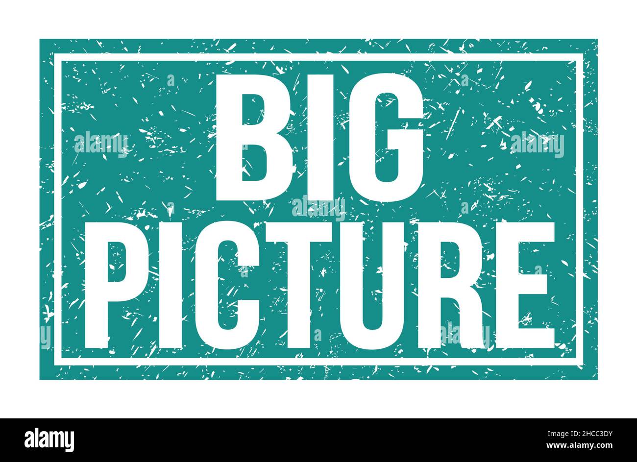 BIG PICTURE, words written on blue rectangle stamp sign Stock Photo - Alamy