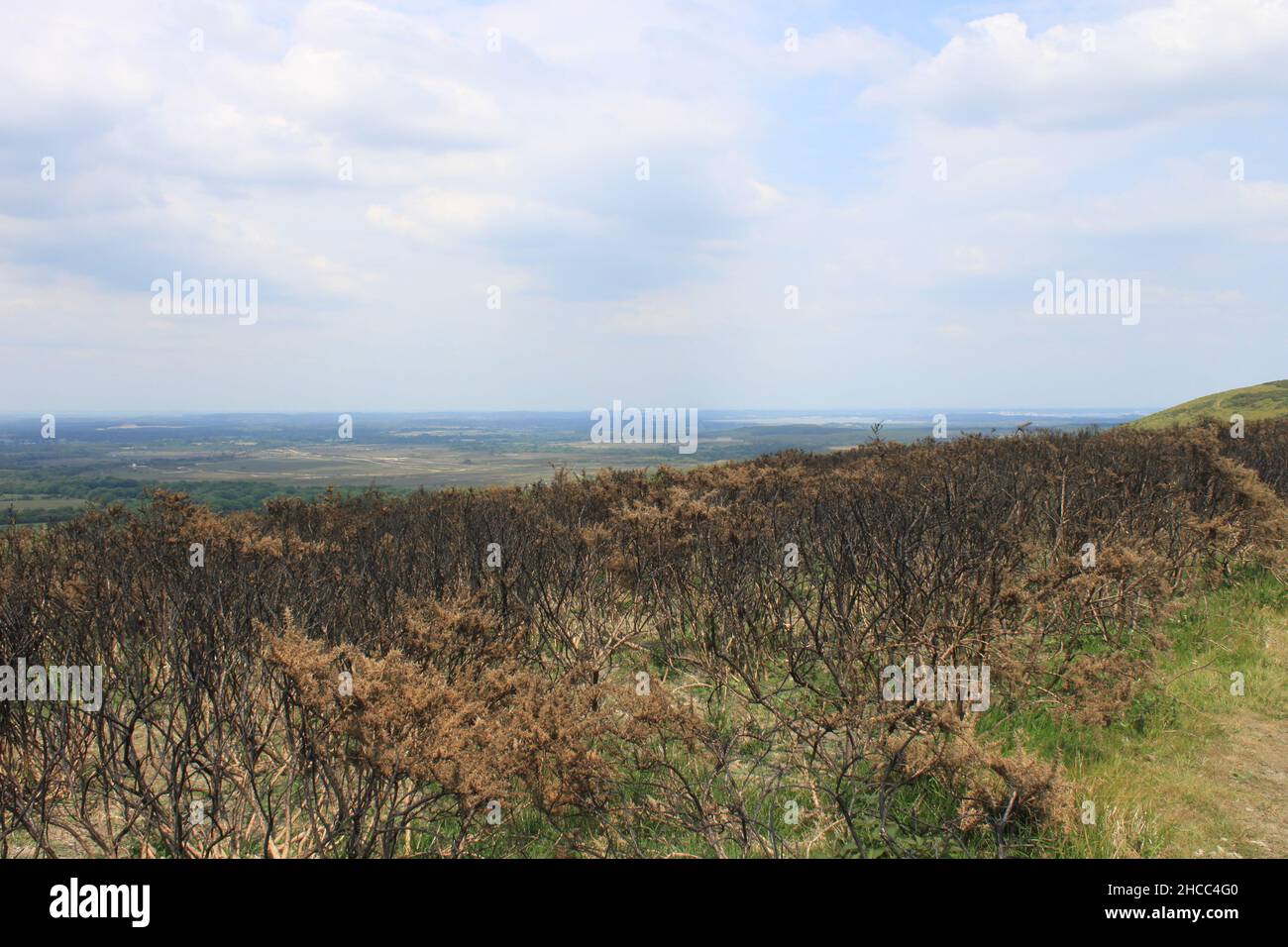 Lulworth Ranges military firing range. South west coast path. England ...