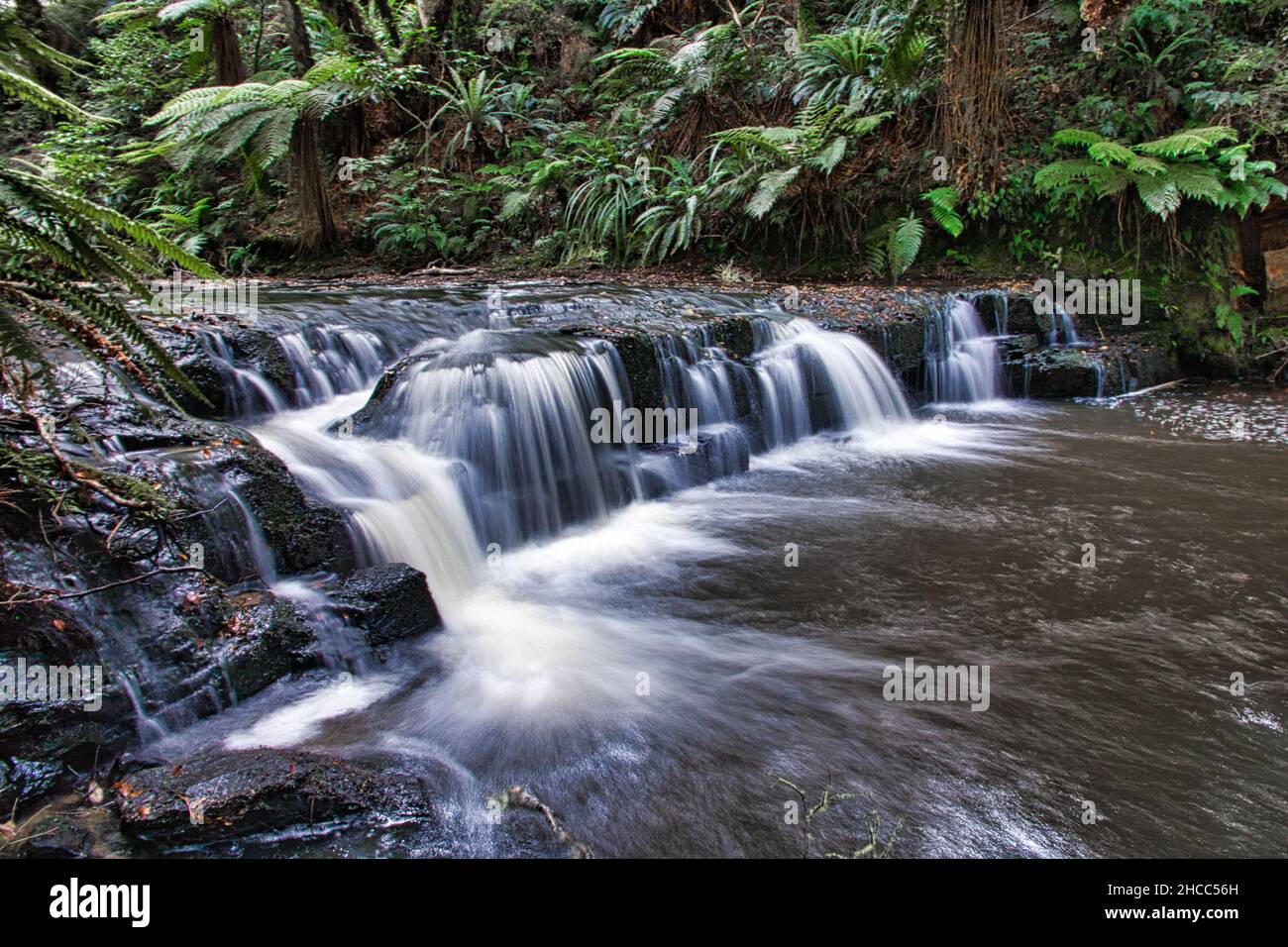 Beautiful view of a waterfall makes river with trees in the forest ...