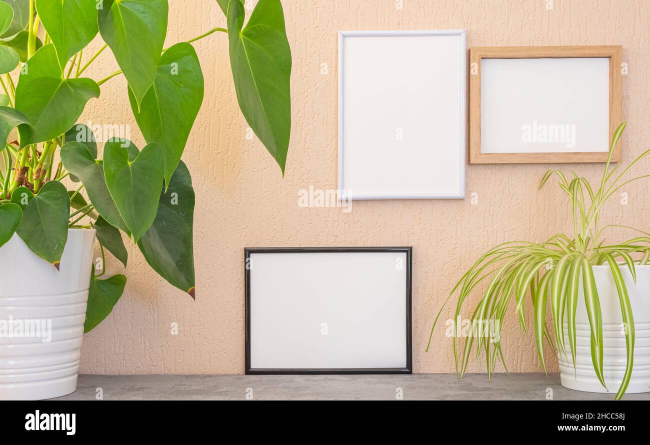 Empty photo frame to write a message, invitation, wishes, photography ...