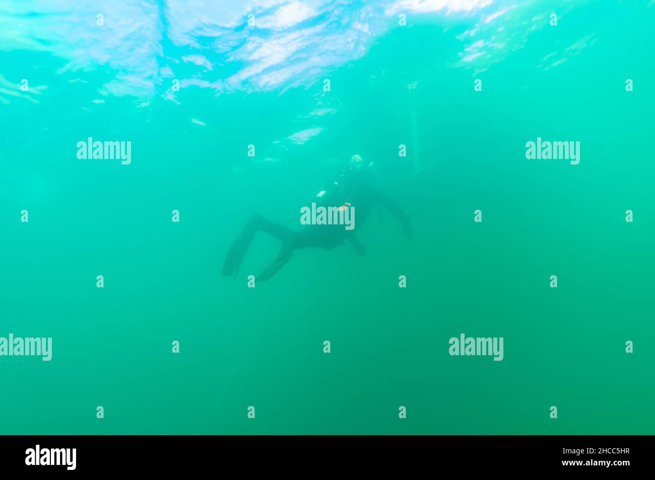 Bermuda diving diver underwater hi-res stock photography and images - Alamy