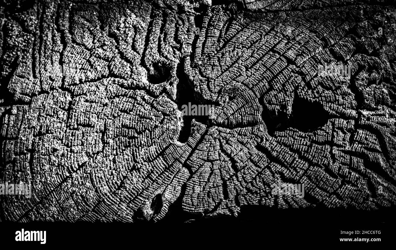 Old timber hi-res stock photography and images - Alamy