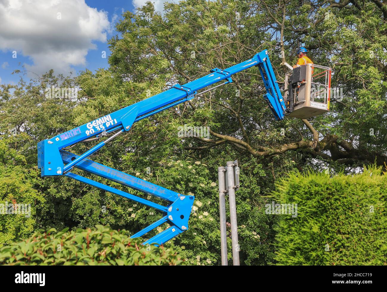 Tree surgeons working on a Gemini 20.35 ptj lorry mounted cherry picker ...