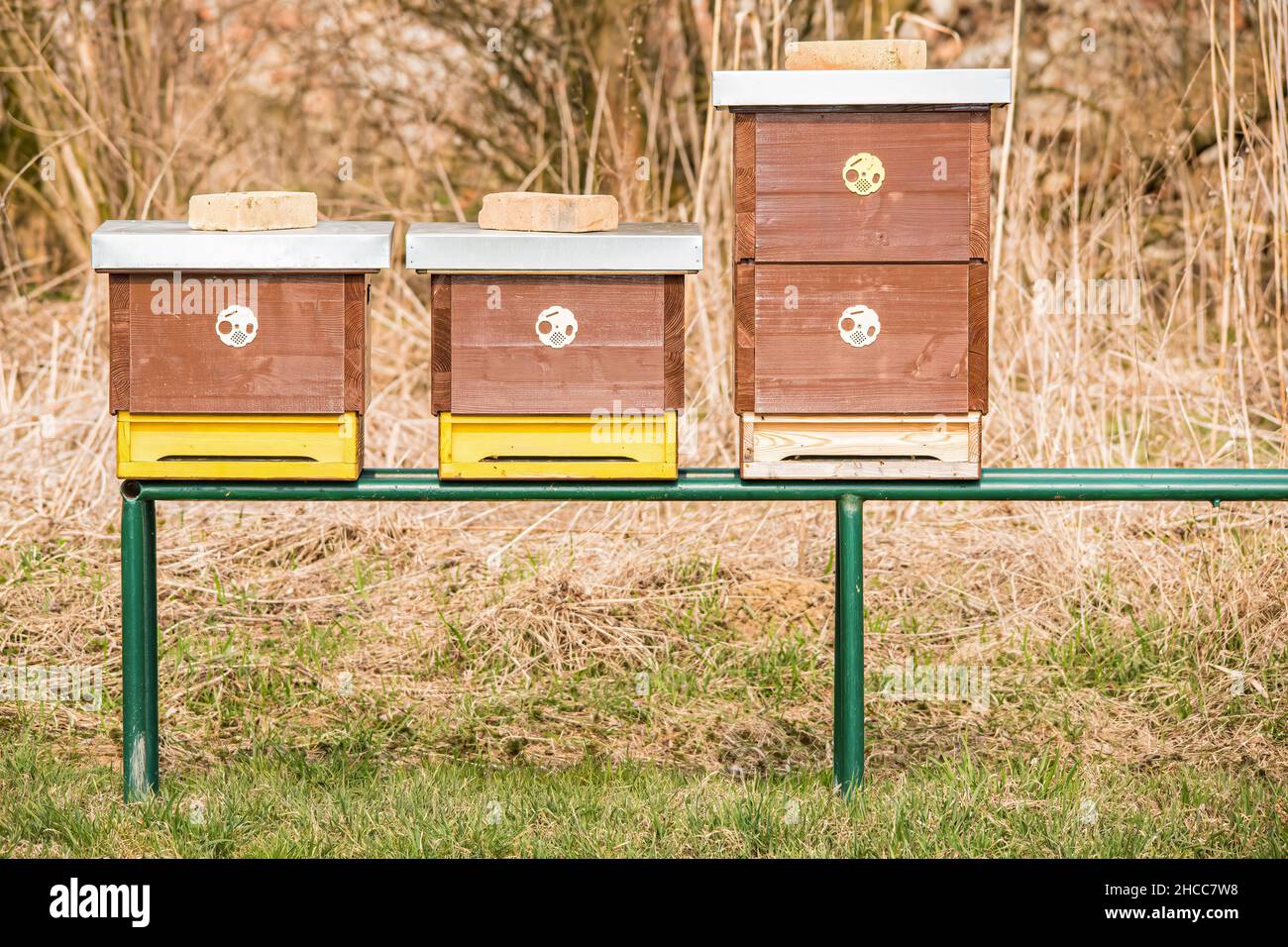 Three small apiaries standing side by side on a metal structure Stock ...