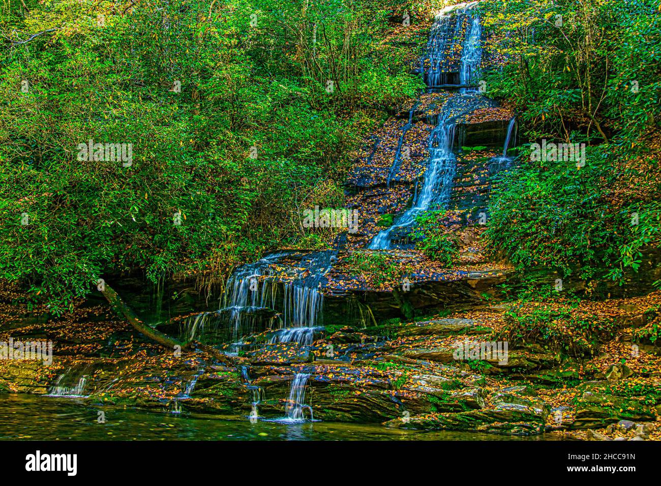 Scenic view of a waterfall flowing down on rocks through green trees ...