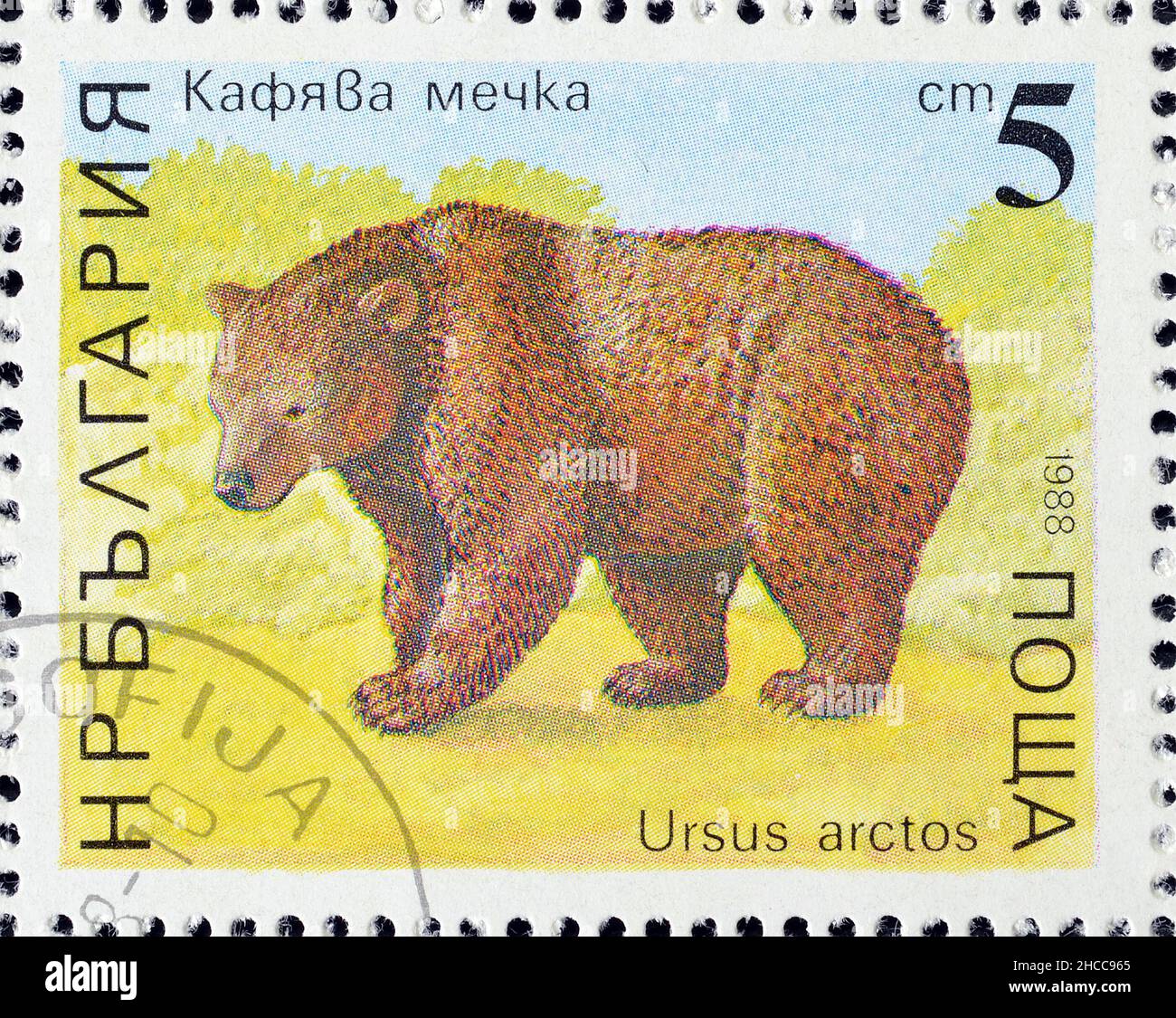 Cancelled postage stamp printed by Bulgaria, that shows Brown Bear ...