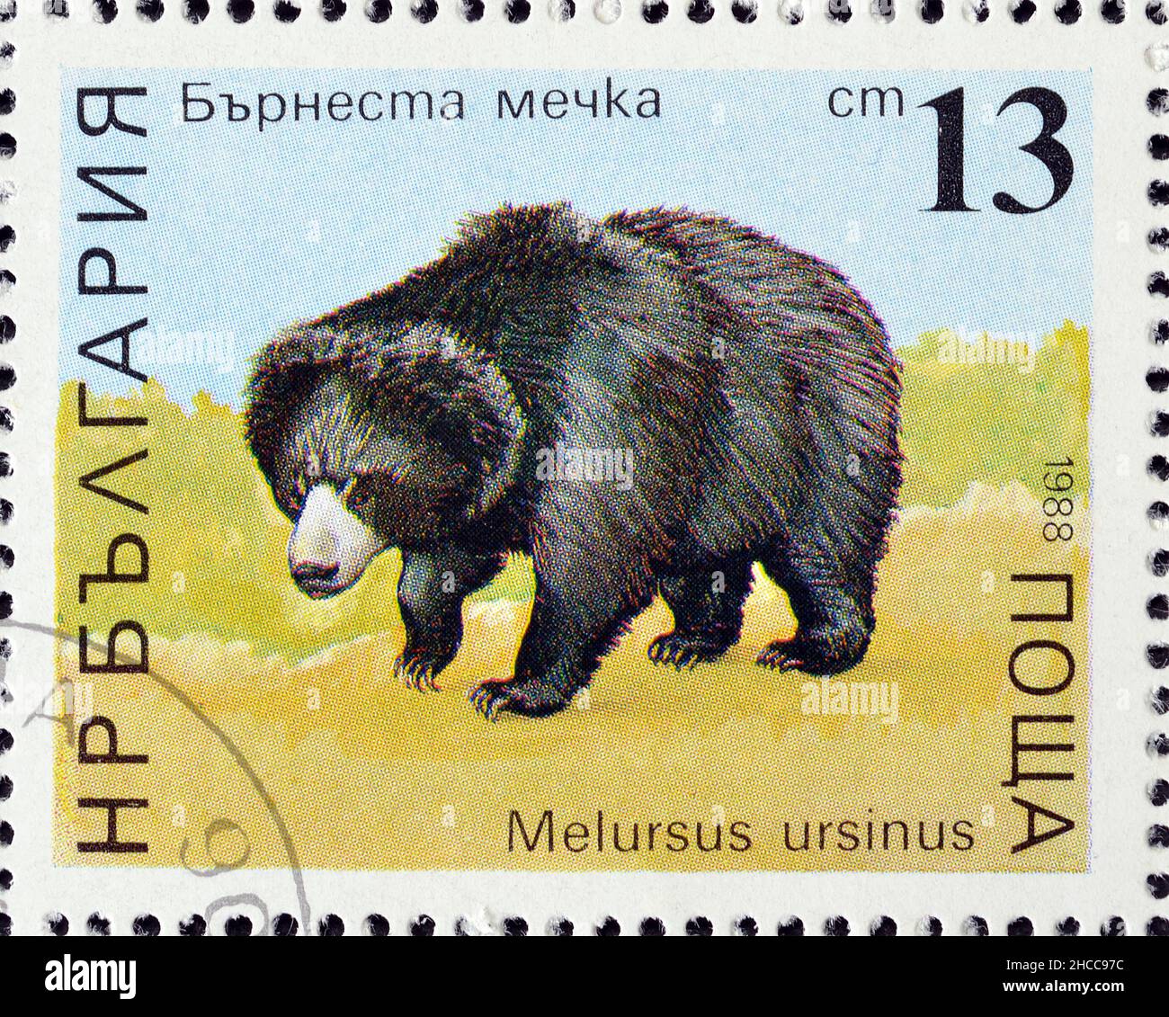 Cancelled postage stamp printed by Bulgaria, that shows Sloth Bear ...