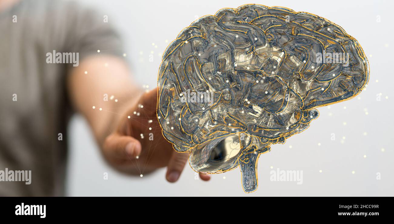 Closeup of the hand touching the virtual 3d model of the human brain ...