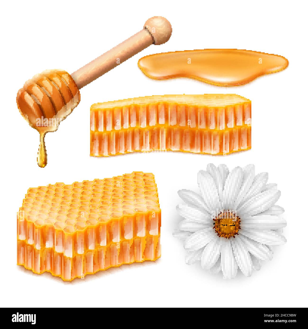 honey bee honeycomb vector Stock Vector Image & Art - Alamy