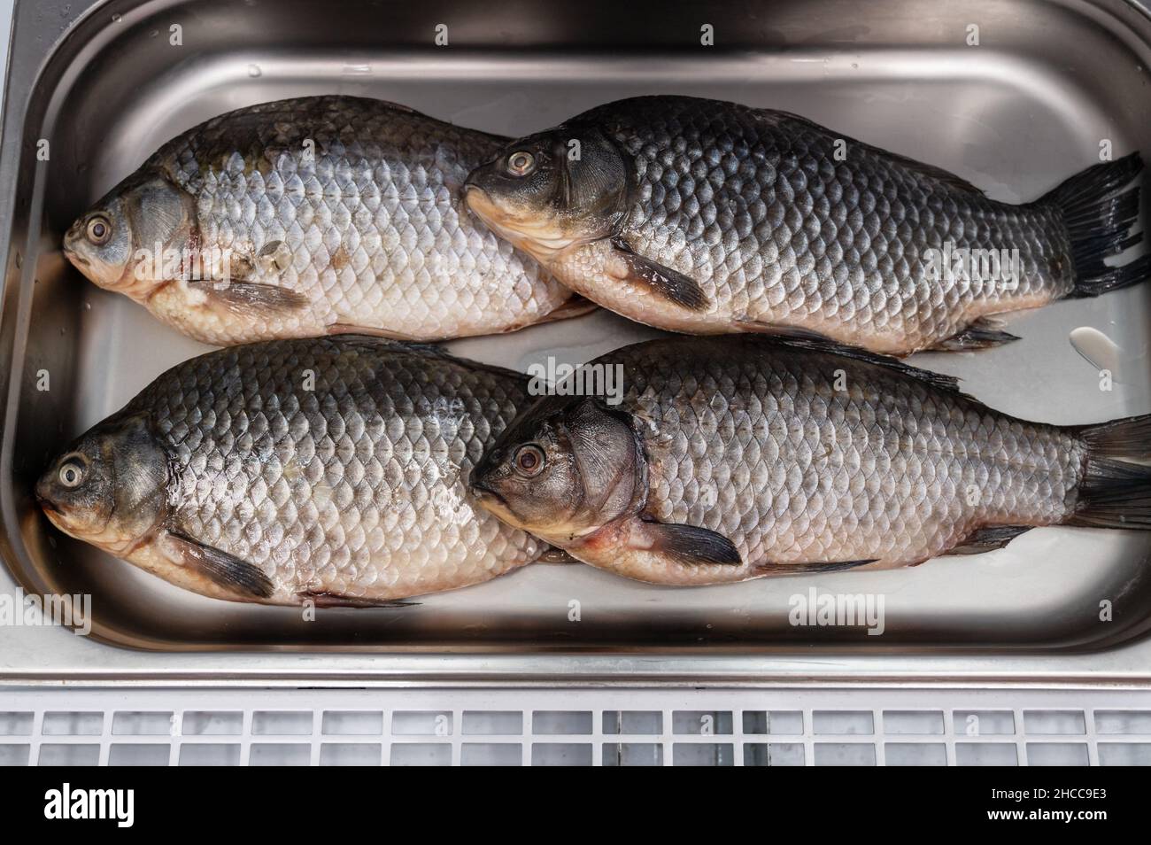 Fresh raw carp fish in the supermarket Stock Photo - Alamy