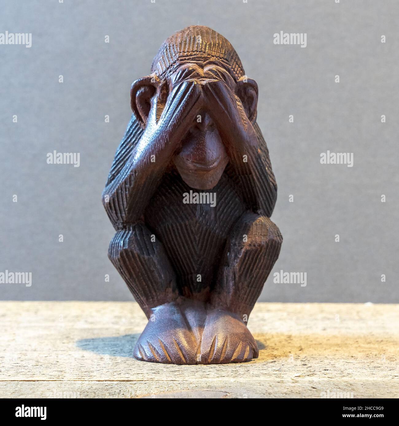 Animal covering eyes hi-res stock photography and images - Alamy