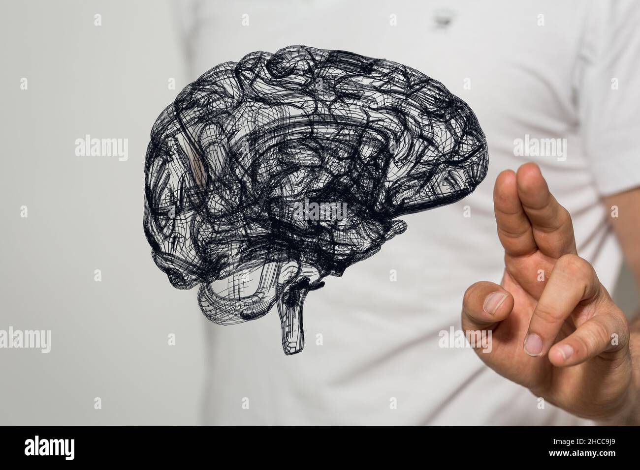 Virtual model of the human brain with a hand pointing at it Stock Photo ...