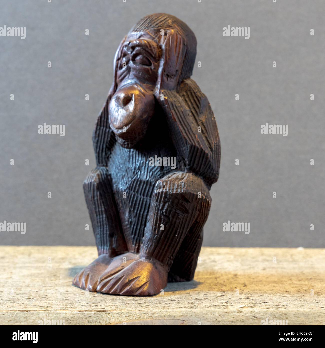 Monkey ears hi-res stock photography and images - Alamy